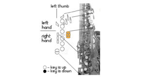 Alto Sax Fingering Chart: A Beginner’s Guide | Sax School