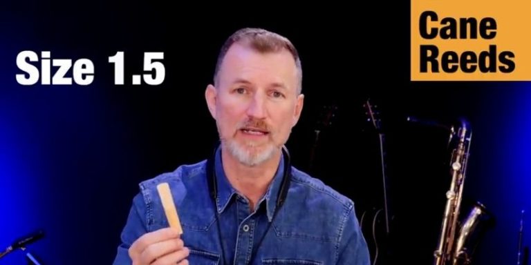 Best Beginner Alto Saxophone Reeds - Sax School Online